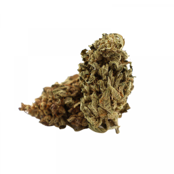 MH404 - Oupnos CBD Shop - CBD